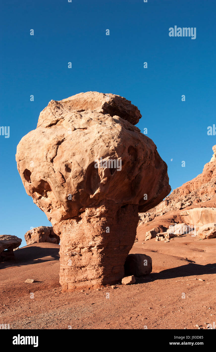 North America; United States; Arizona; Desert; Vermilion Cliffs ...
