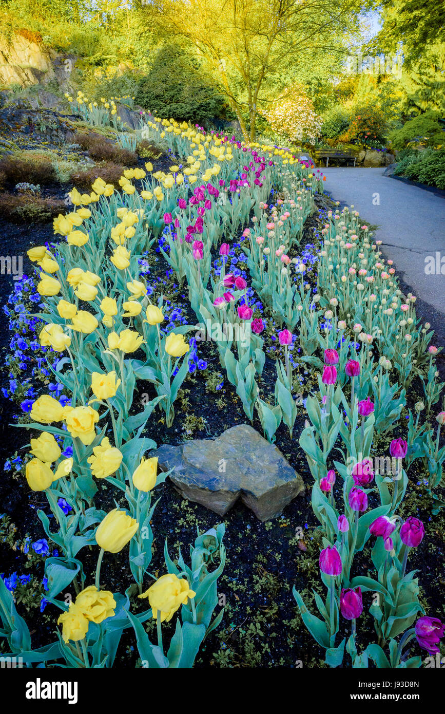 Queen elizabeth park vancouver spring hi-res stock photography and ...