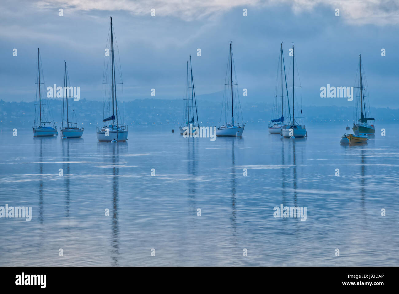 sail, yacht, sailing boat, sailboat, boat, fresh water, lake, inland ...
