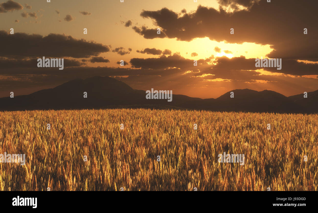 sunset, sunrise, evening, dusk, landscape, scenery, countryside, nature ...