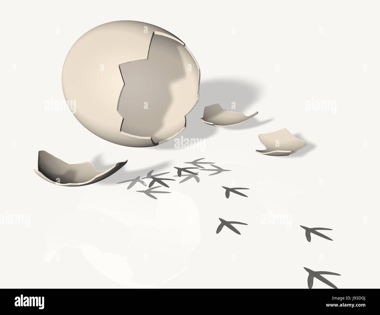 born, shell, broken, egg, beginning, born, model, design, project ...