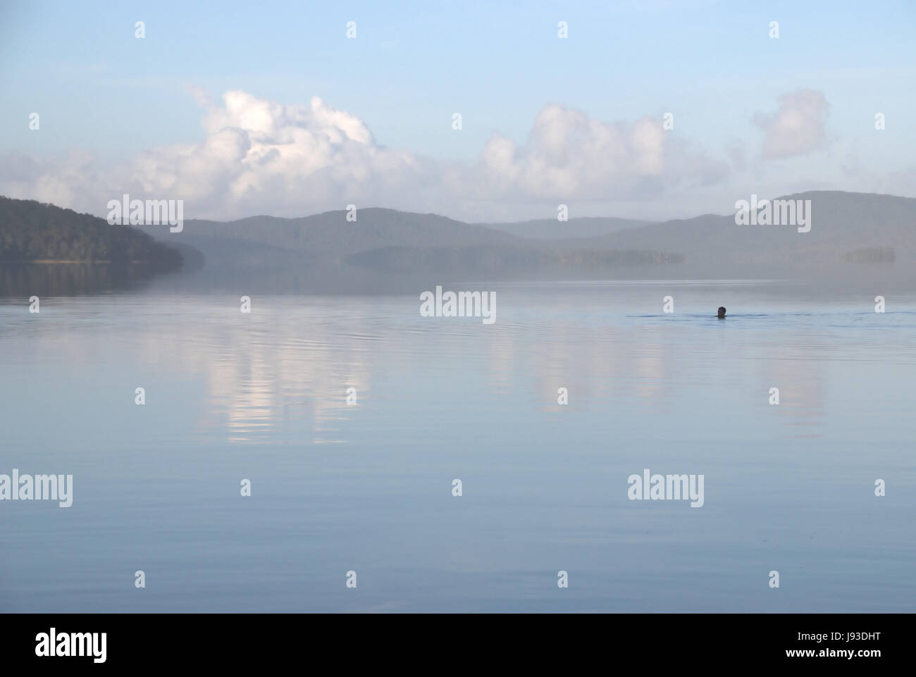 australia, loneliness, salt water, sea, ocean, water, man, swimming ...
