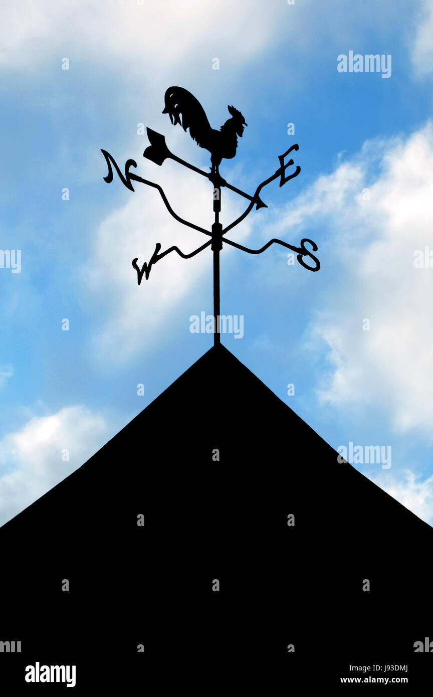 direction, weather, sign, wind, bird, pointer, direction, silhouette ...