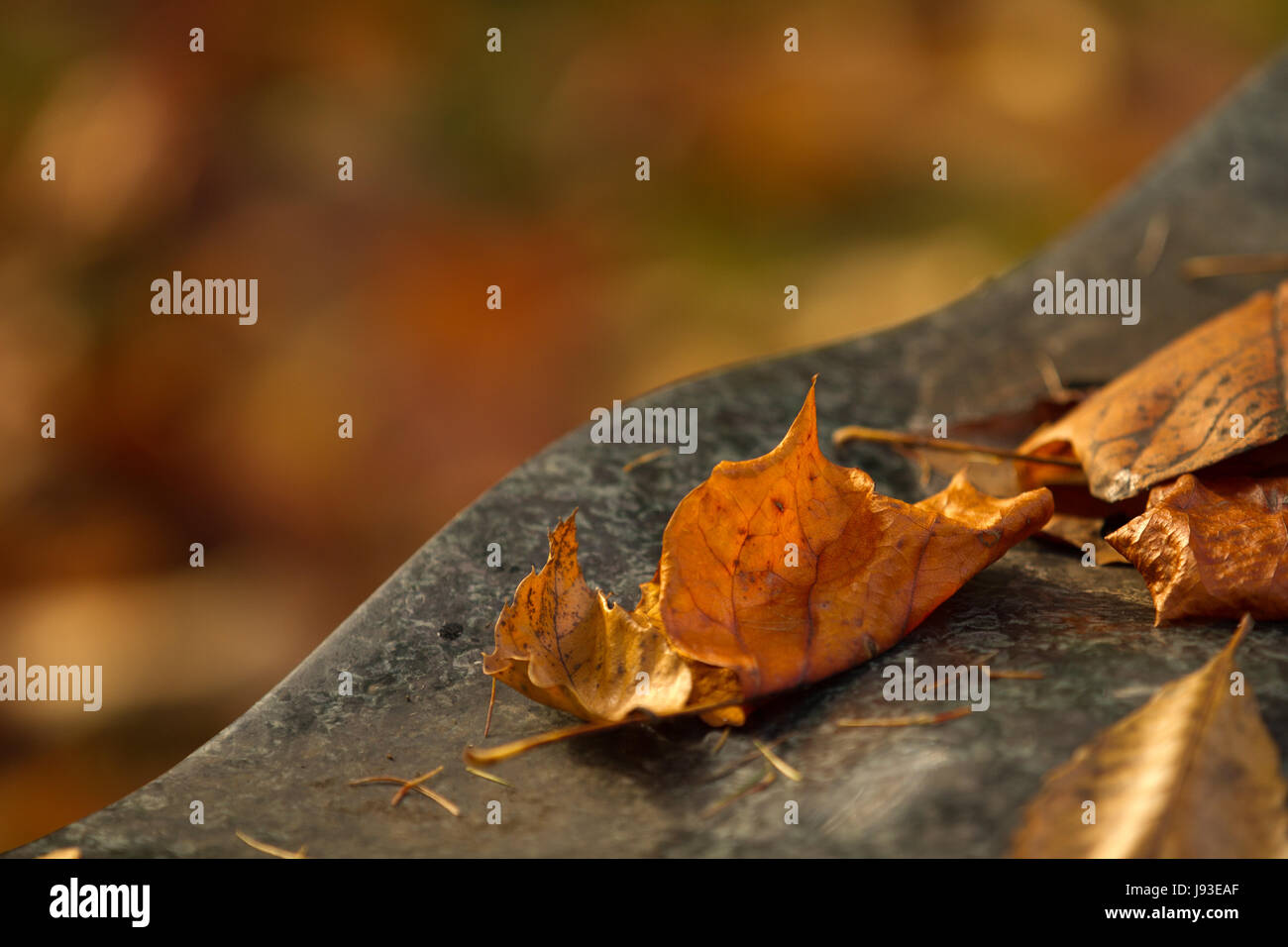 stone, leaves, october, november, september, foliage, fall, autumn ...