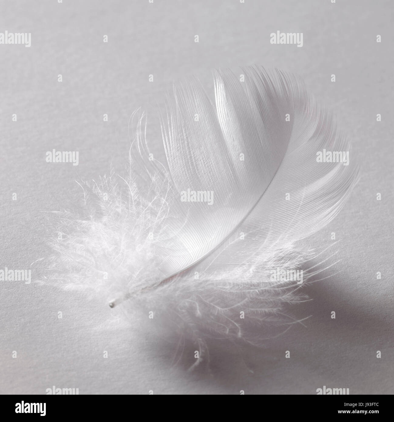 Feather tassels hi-res stock photography and images - Alamy