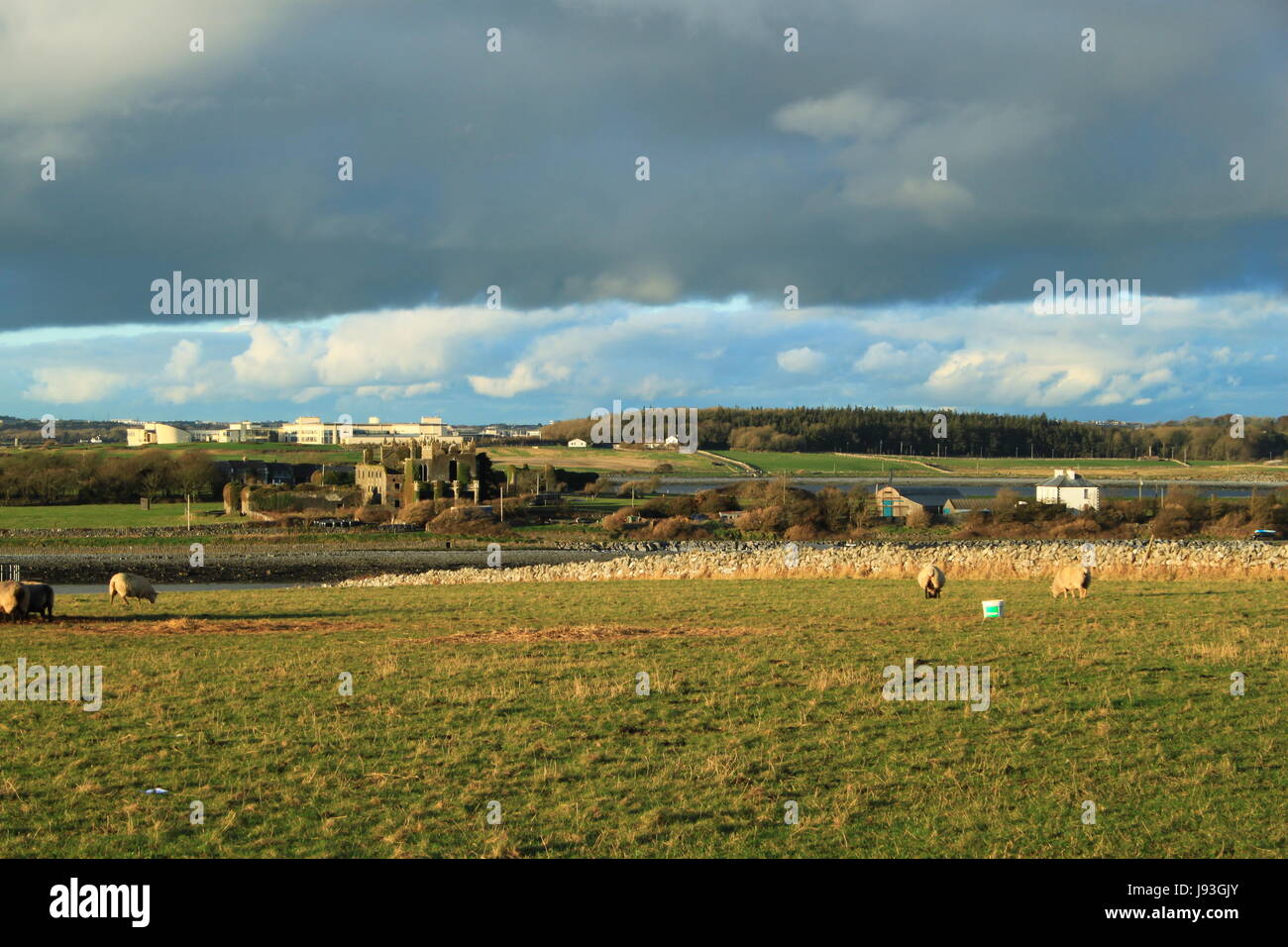 house, building, agriculture, farming, sheep, ruins, farm, landscape ...