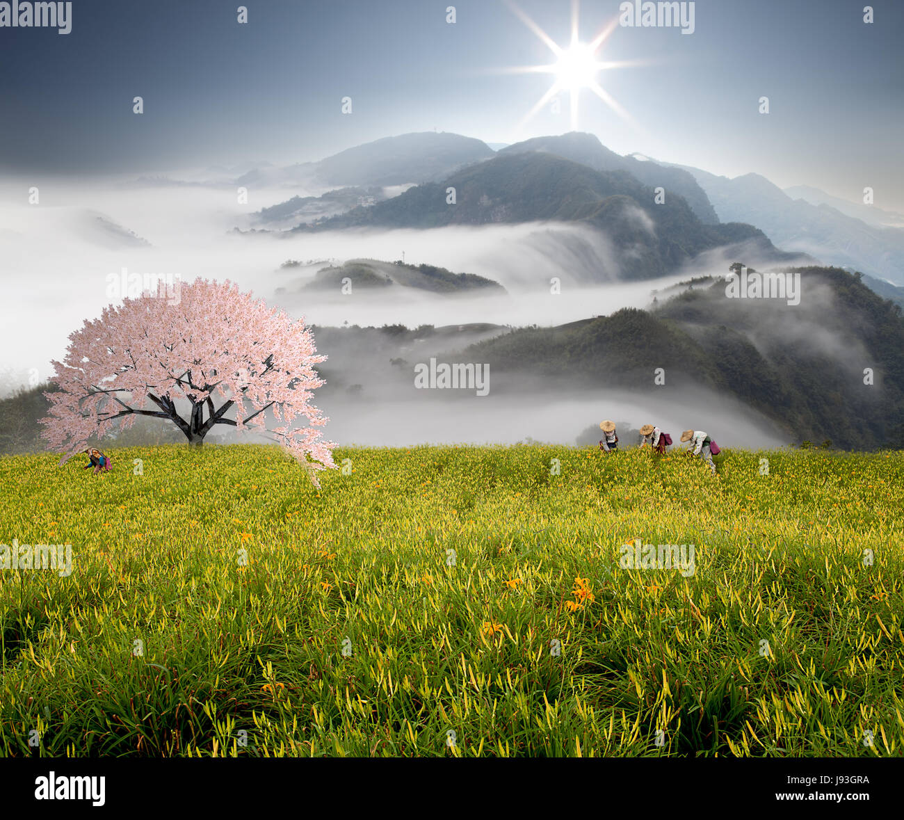 blue, beautiful, beauteously, nice, travel, environment, enviroment ...