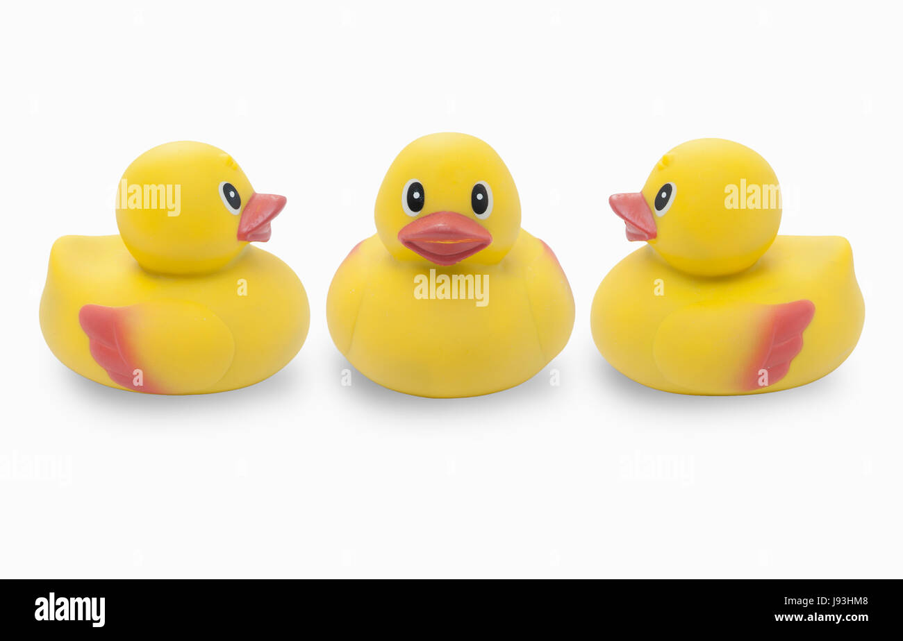 toy, duck, plastic, synthetic material, rubber, yellow, animal, bird ...