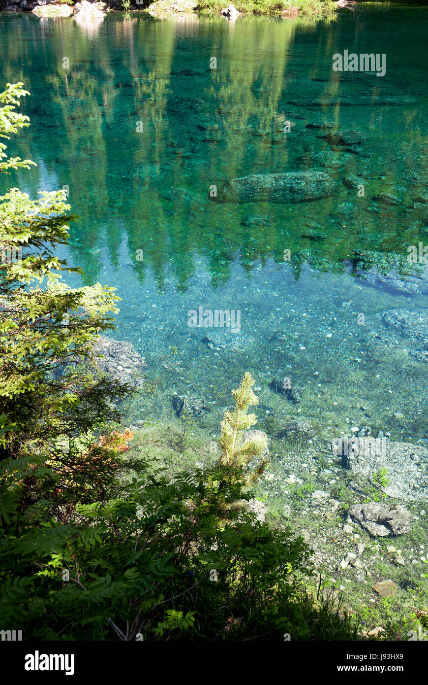 environment, enviroment, tree, trees, fresh water, lake, inland water ...