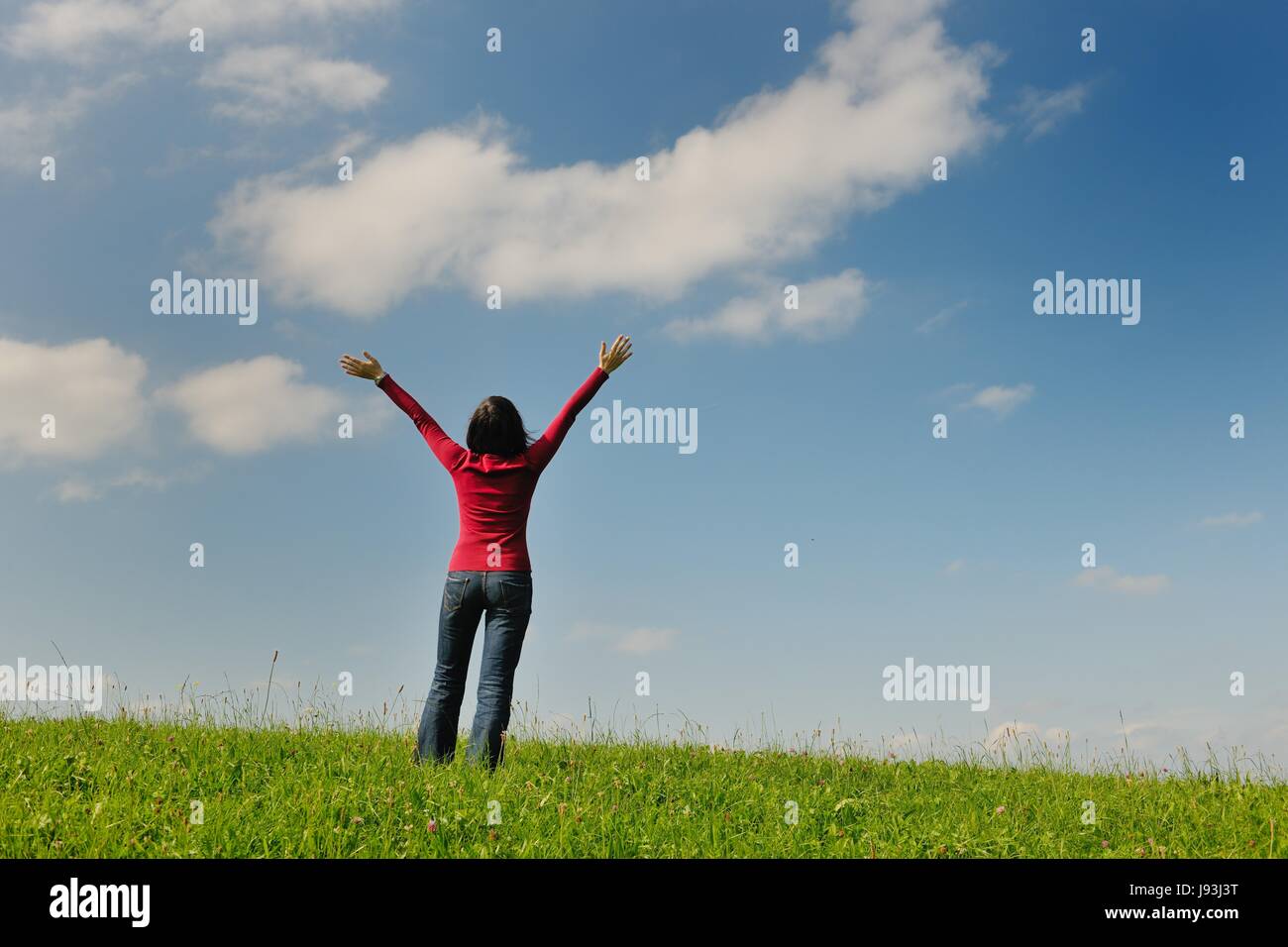 woman, blue, humans, human beings, people, folk, persons, human, human ...