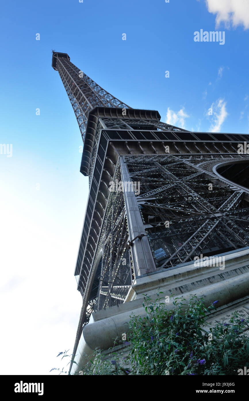 blue, humans, human beings, people, folk, persons, human, human being ...