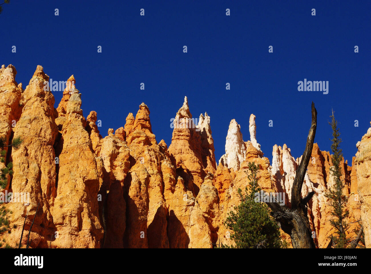 blue, rock, Canyon, firmament, sky, unclouded, cloudless, blue, tree ...