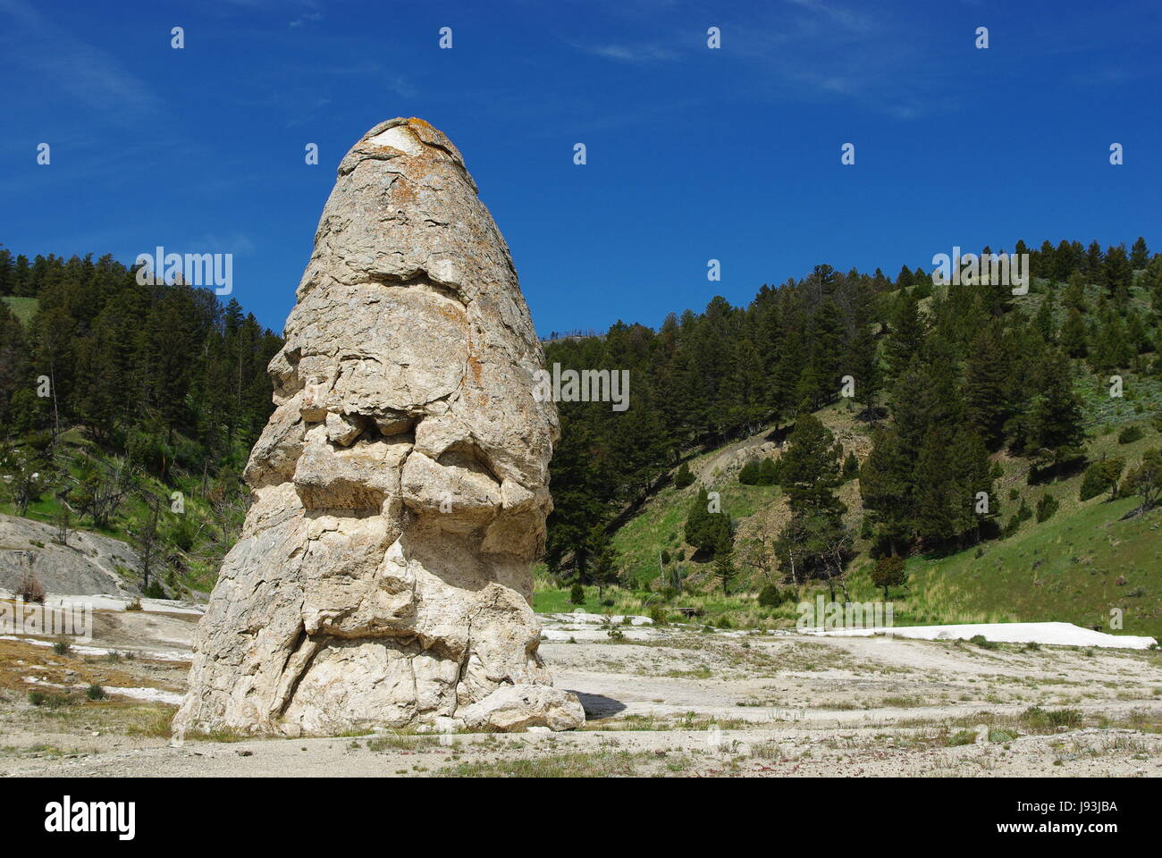 blue, tree, formation, rock, conifer, firmament, sky, forest, blue ...