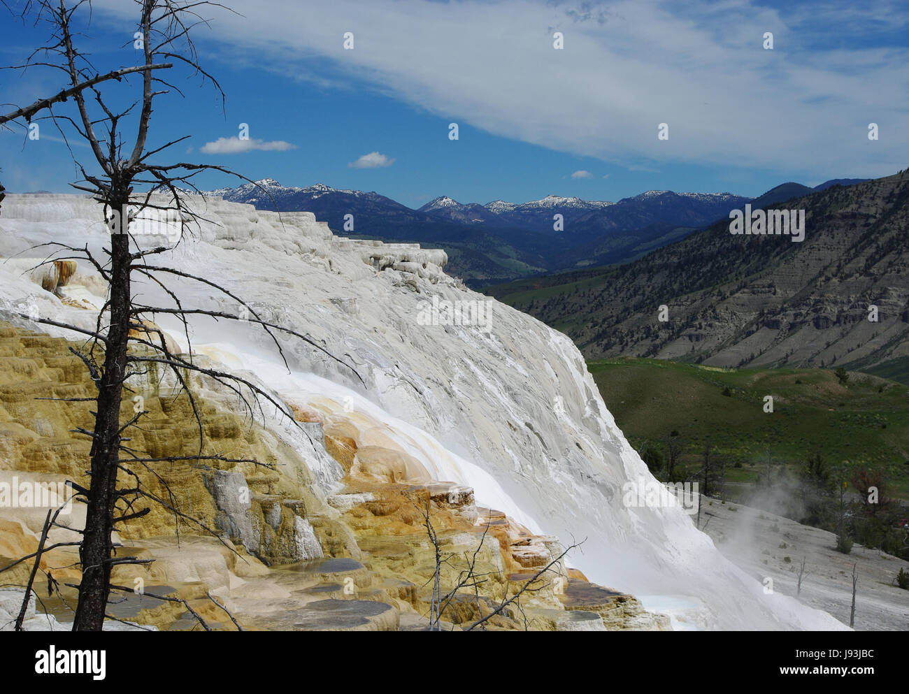 tree, steam, formation, mountain range, lime, mountain, blue, tree ...