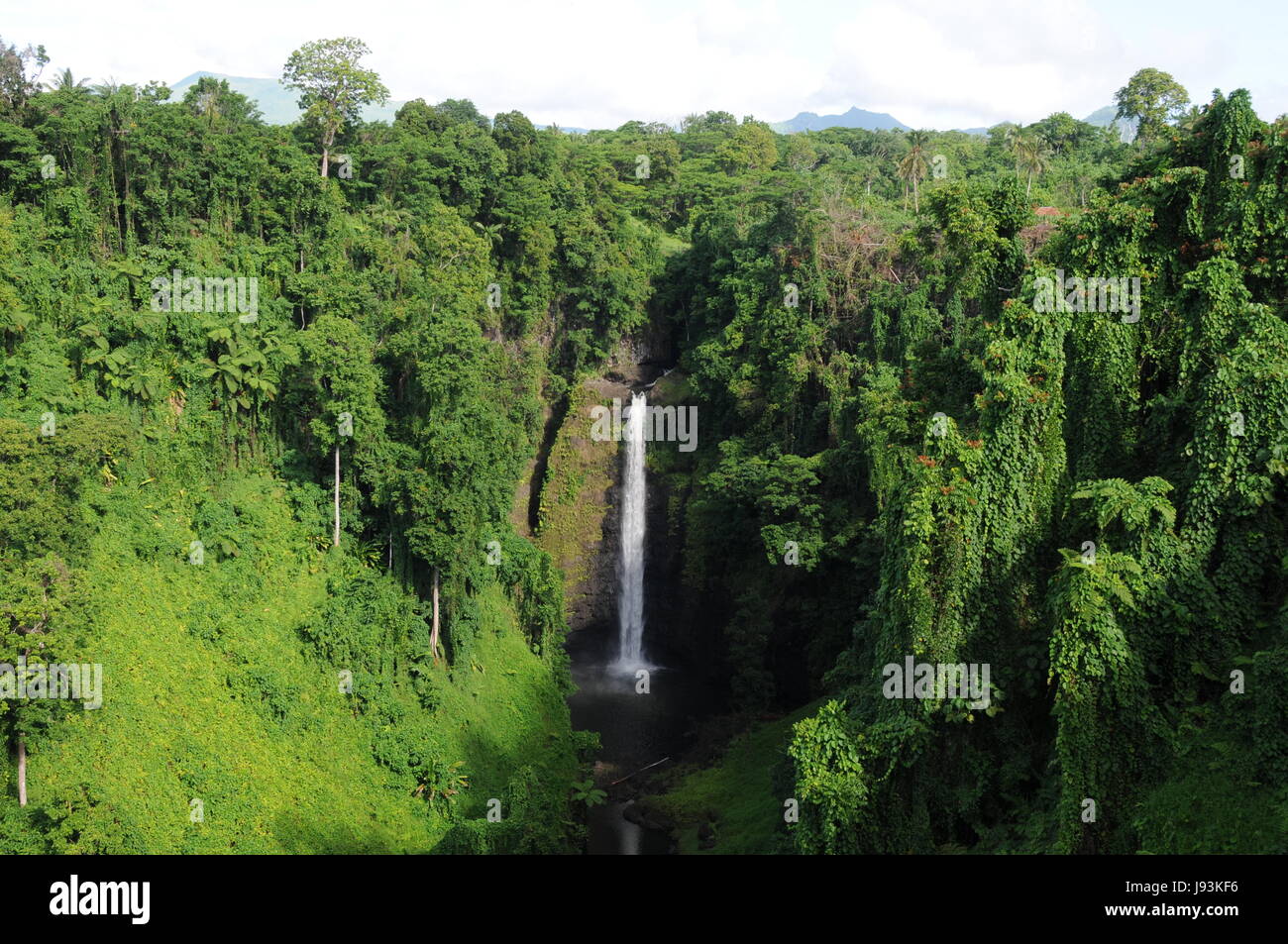 green, outing, tour, round trip, the South Seas, cruise, polynesia ...