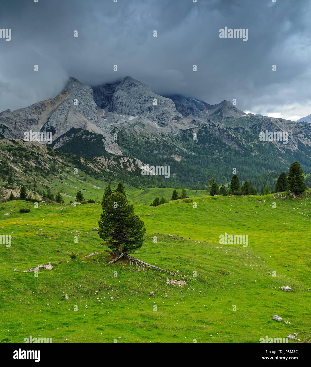 dolomites, south tyrol, natural preserve, tyrol, scenery, countryside ...