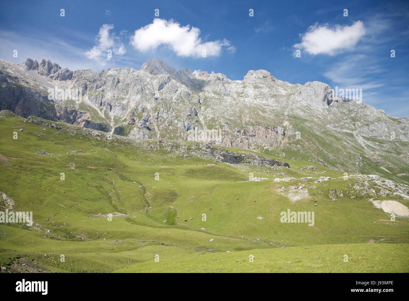 field, spain, valley, landscape, scenery, countryside, nature, mountain ...