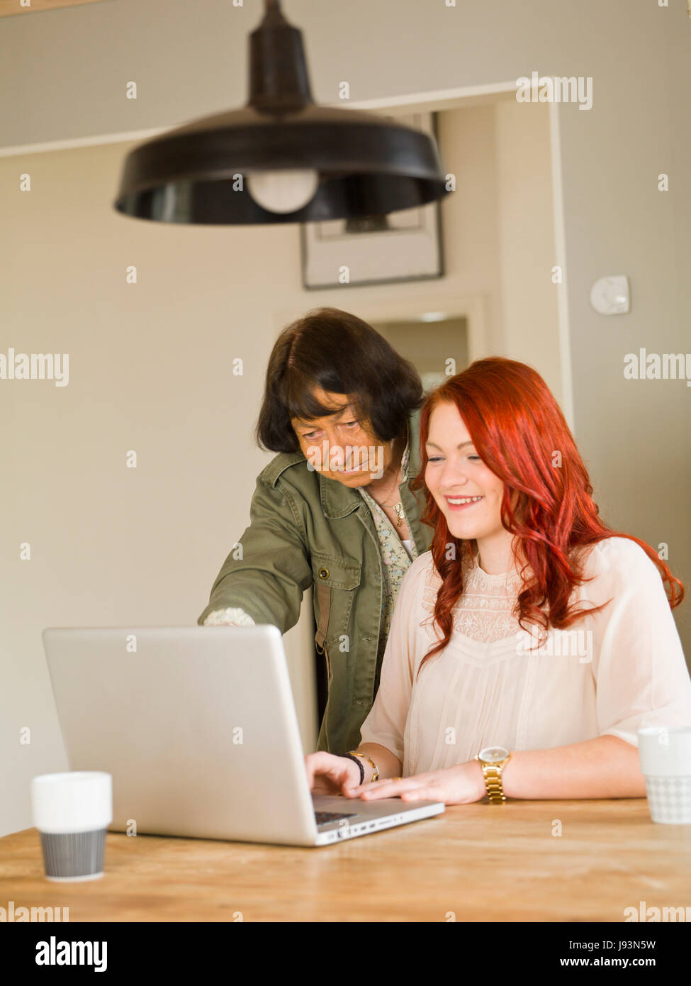 humans, human beings, people, folk, persons, human, human being, laptop ...