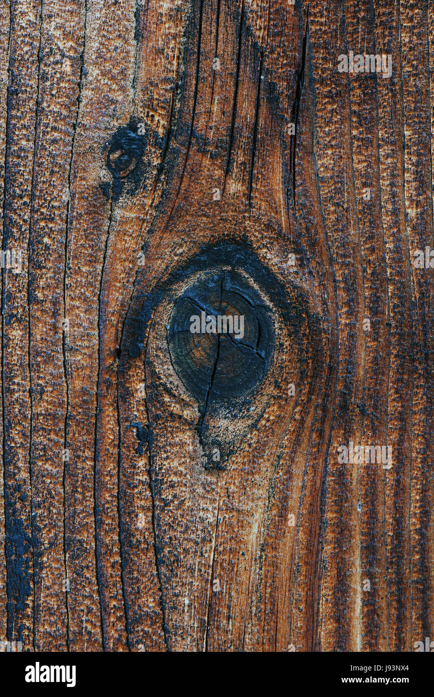 wood, wooden board, canvas, knothole, wooden planks, wood structure ...