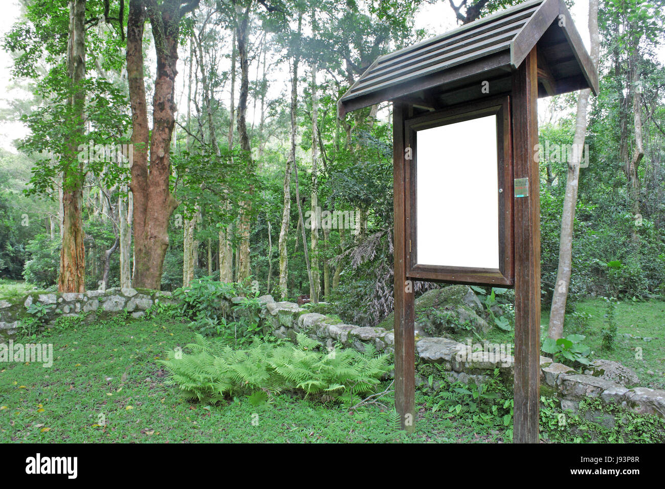 tree, advertisement, advertise, adverts, wooing, advertising, billboard ...