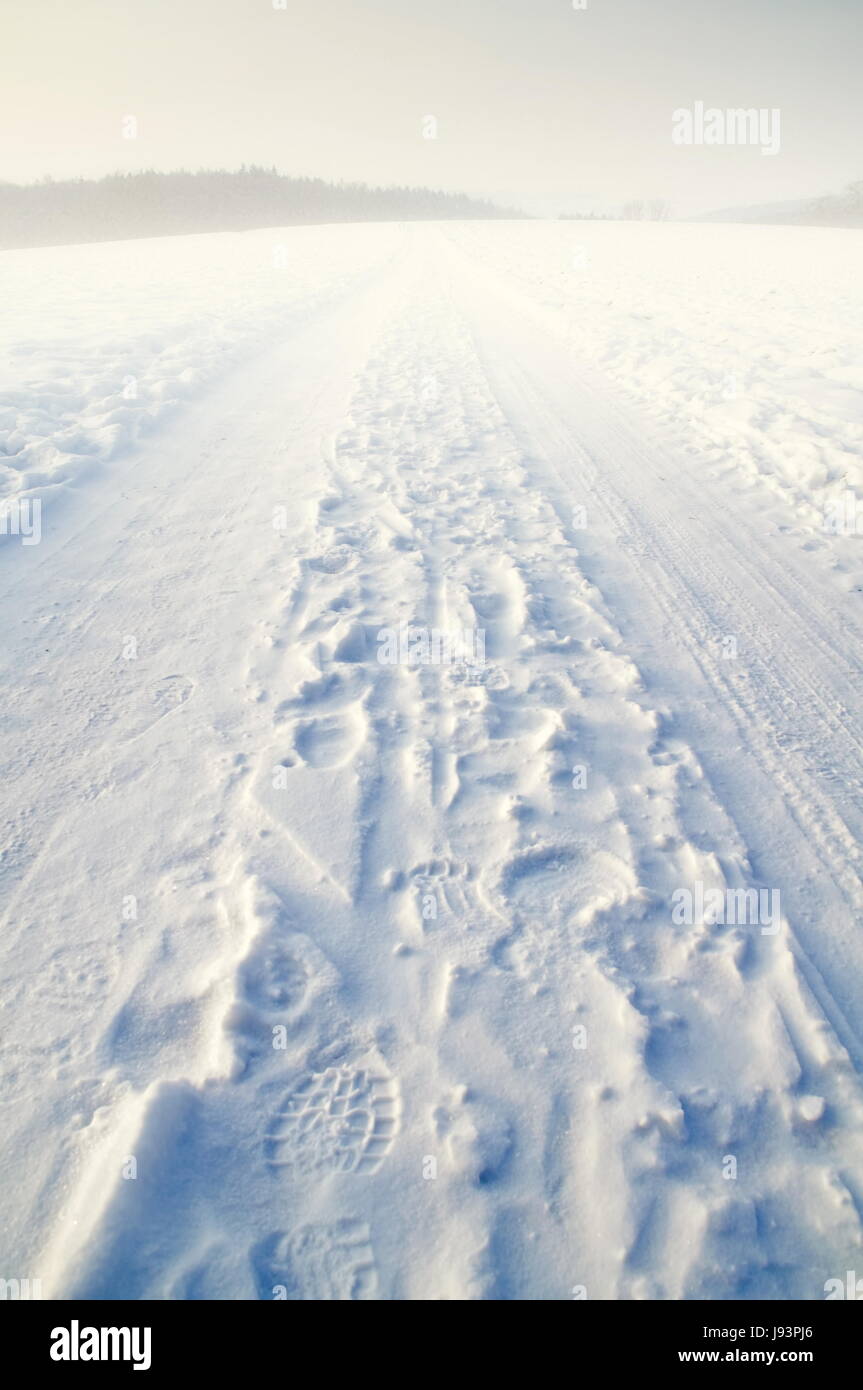 winter, cold, fog, haze, snowy, width, ice, winter landscape, black ...