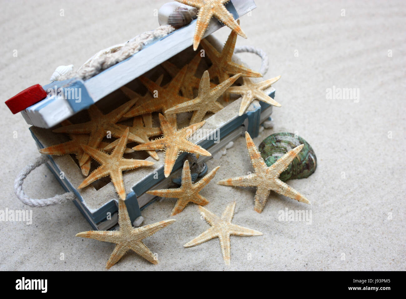 beach, seaside, the beach, seashore, sandy beach, starfish, sea animals ...