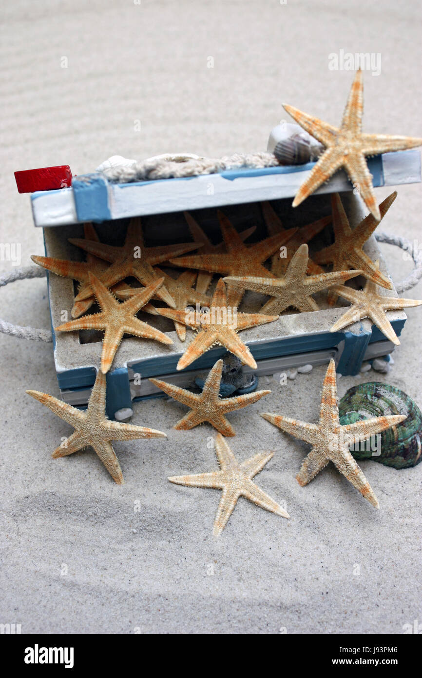 crate with starfish Stock Photo - Alamy