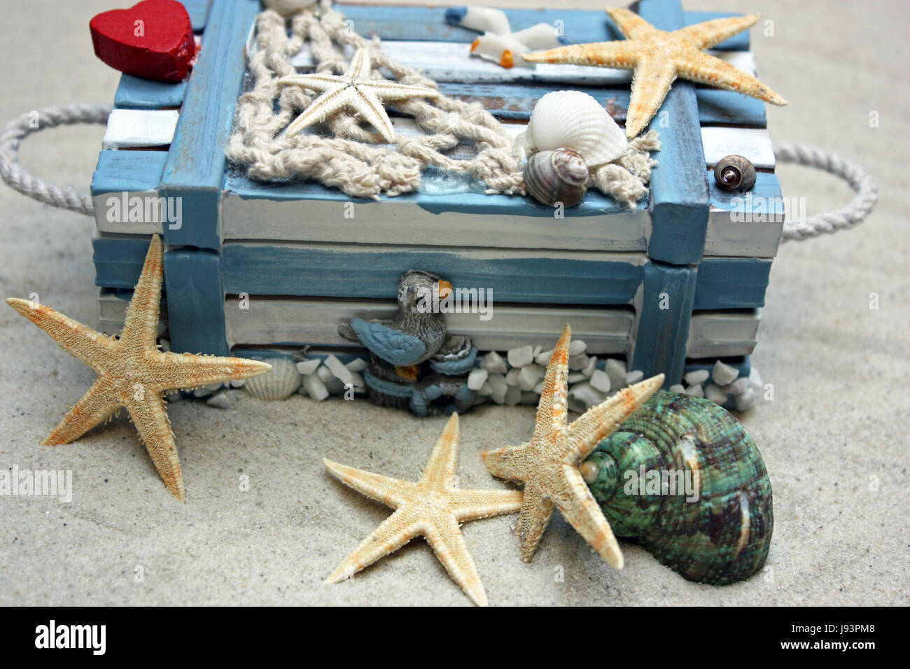 beach, seaside, the beach, seashore, sandy beach, starfish, sea animals ...