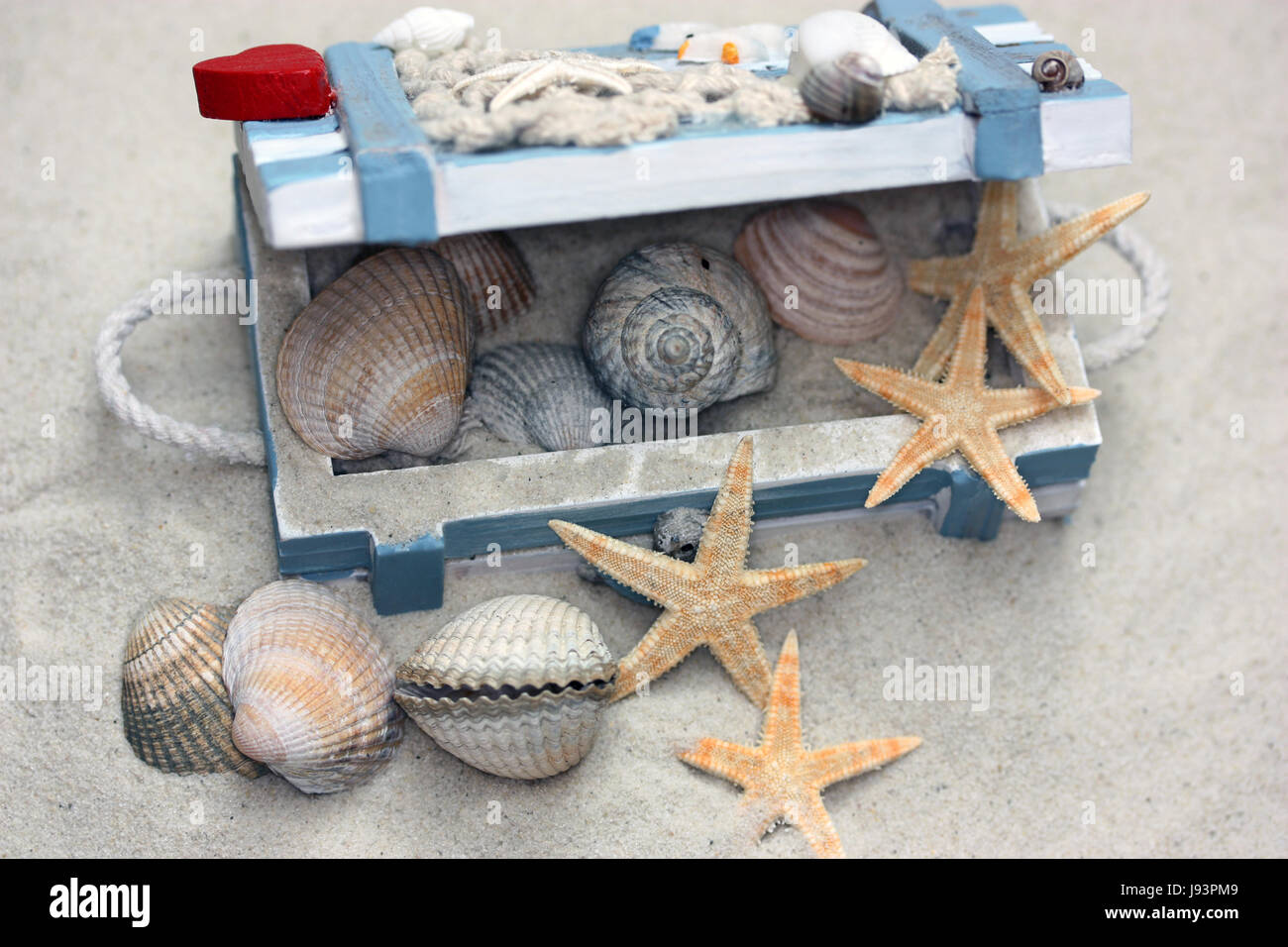 beach, seaside, the beach, seashore, sandy beach, starfish, sea animals ...