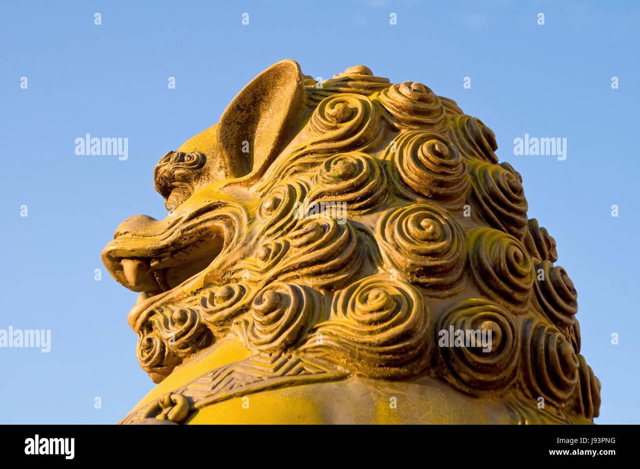 animal, statue, lion, cat, big cat, feline predator, chinese, chimera ...