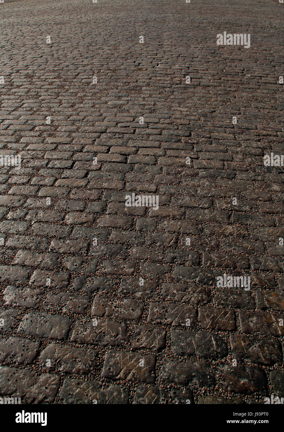 closeup, brown, brownish, brunette, pavement, day, during the day ...