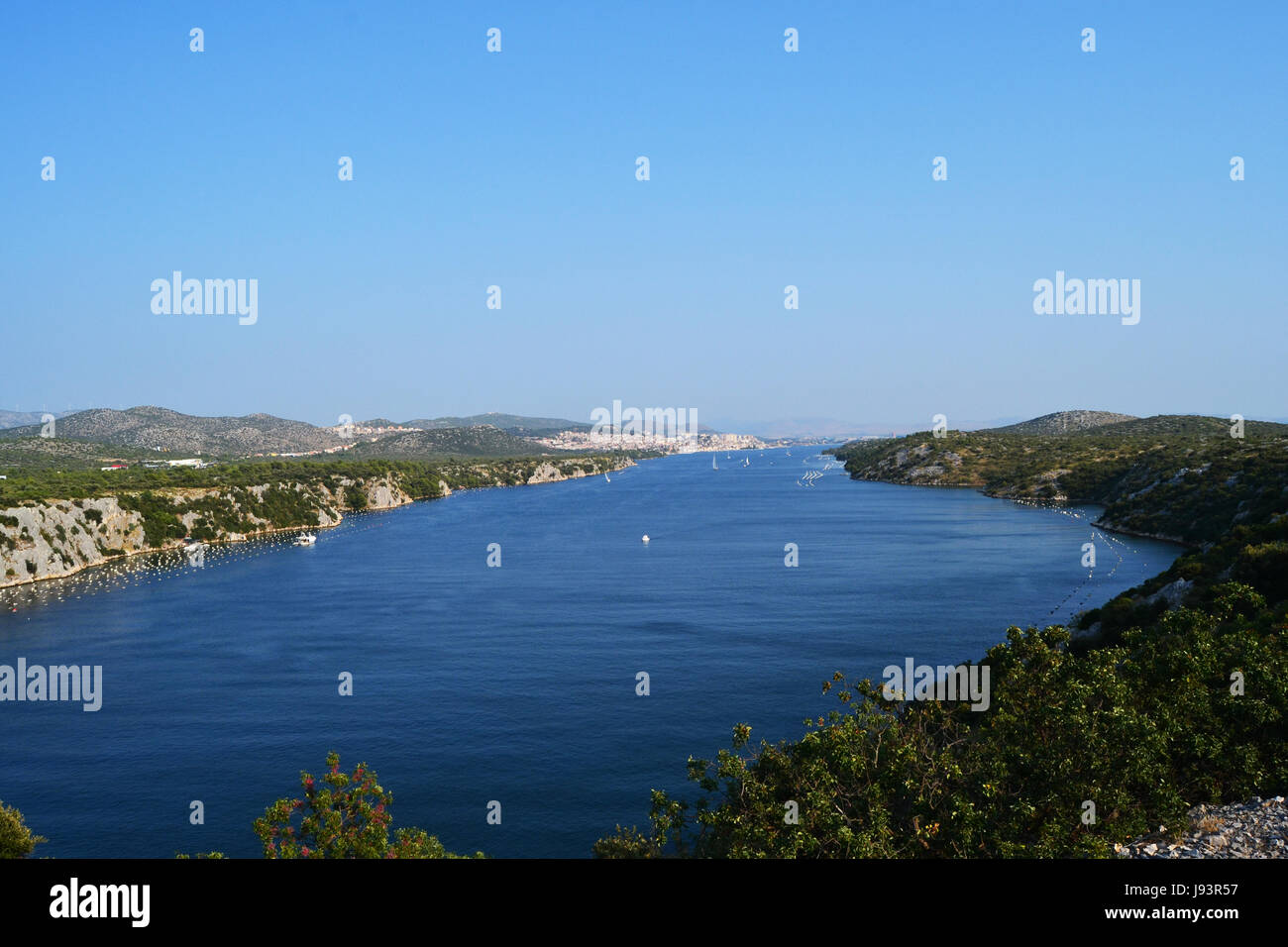 sport, sports, harness, spring, bouncing, bounces, hop, skipping ...