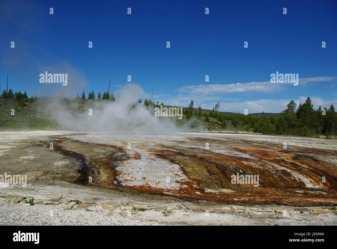 blue, steam, sulphur, brimstone, firmament, sky, blue, tree, green ...