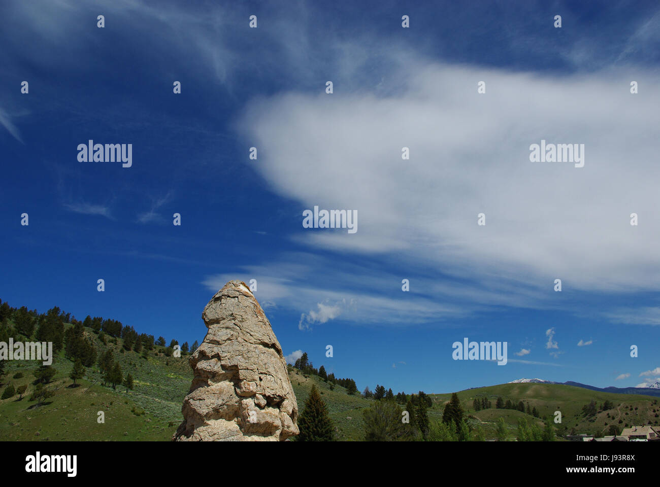 blue, tree, formation, rock, conifer, firmament, sky, blue, tree ...