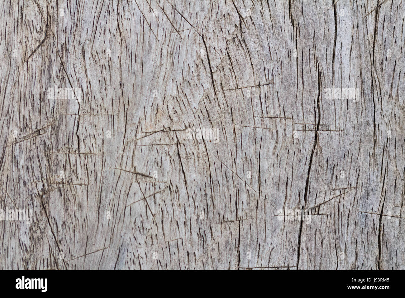Abstract wooden panel texture hi-res stock photography and images - Alamy