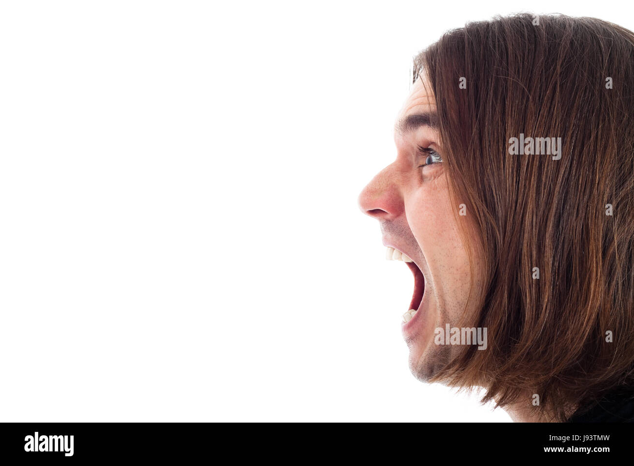 profile, face, anger, resentment, annoy, raving, furious, angry ...