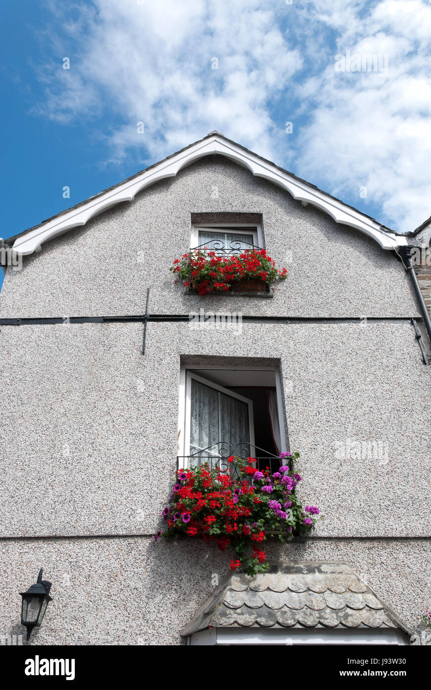 window, porthole, dormer window, pane, flower, flowers, plant, style of ...