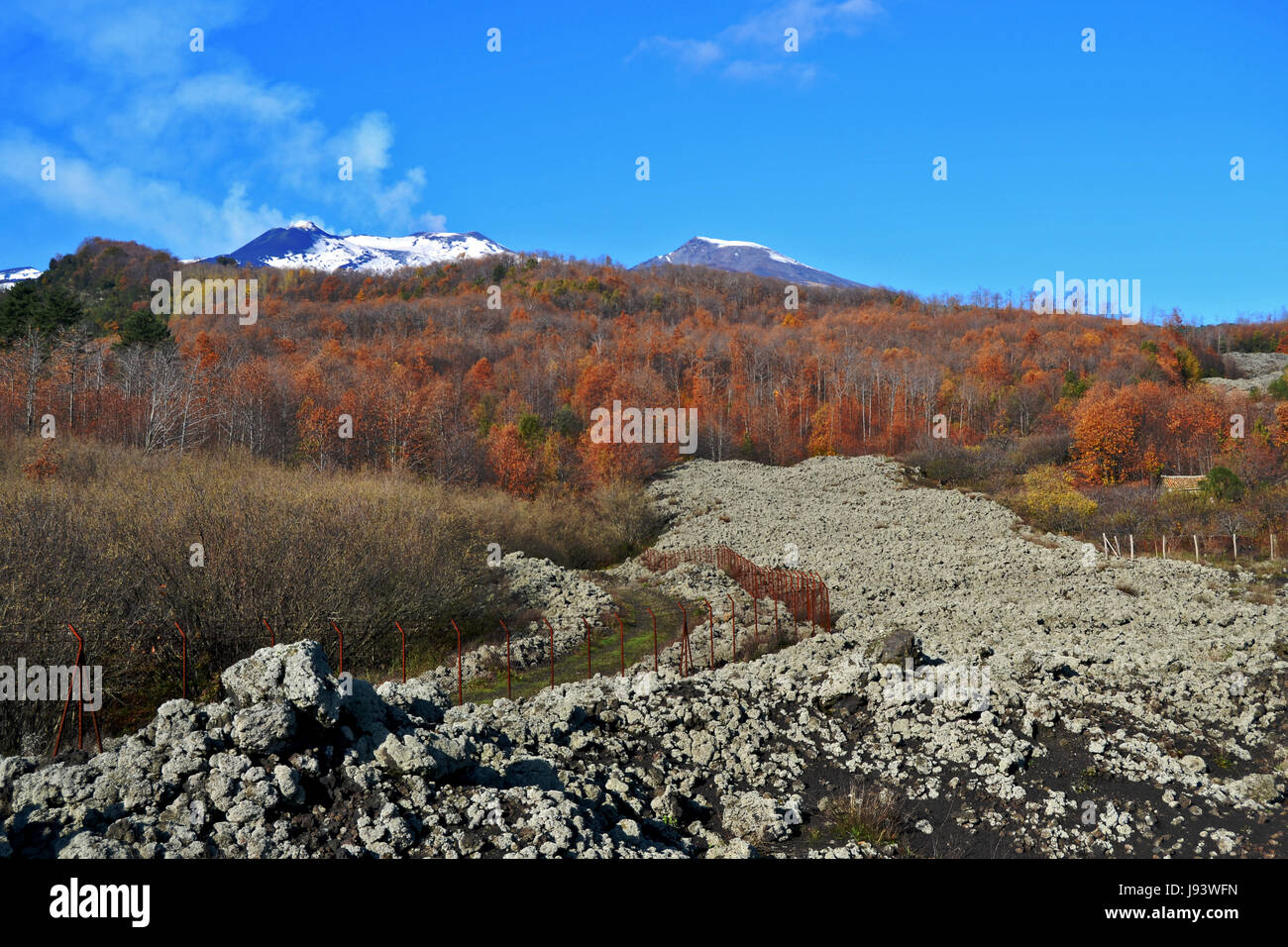 environment, enviroment, birch, vegetation, sicily, mountain, vulcan ...
