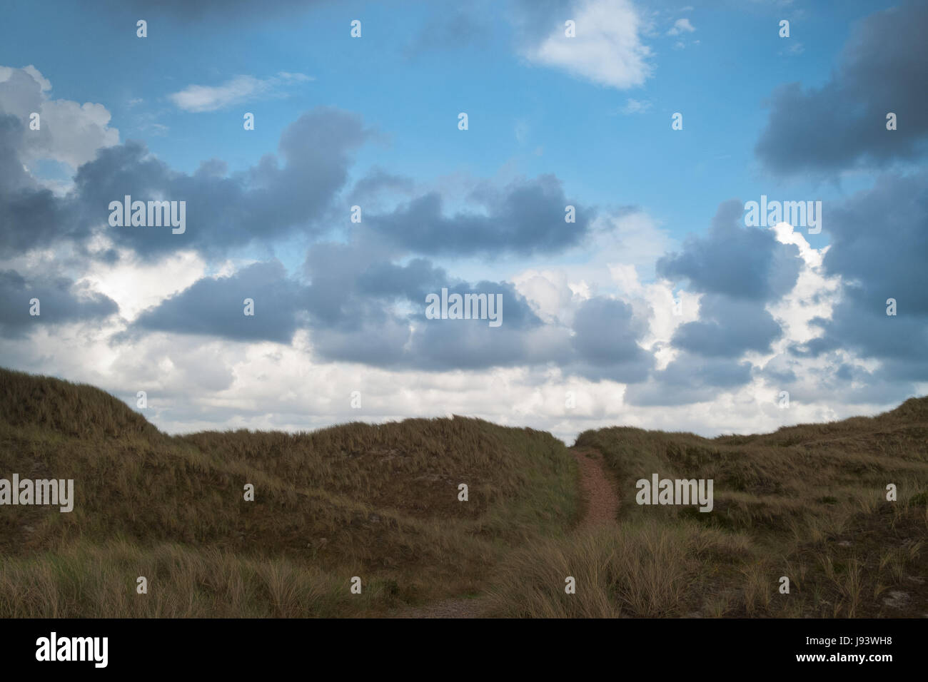 water,north sea,salt water,sea,ocean,denmark,outside,coast,dune,clouds ...