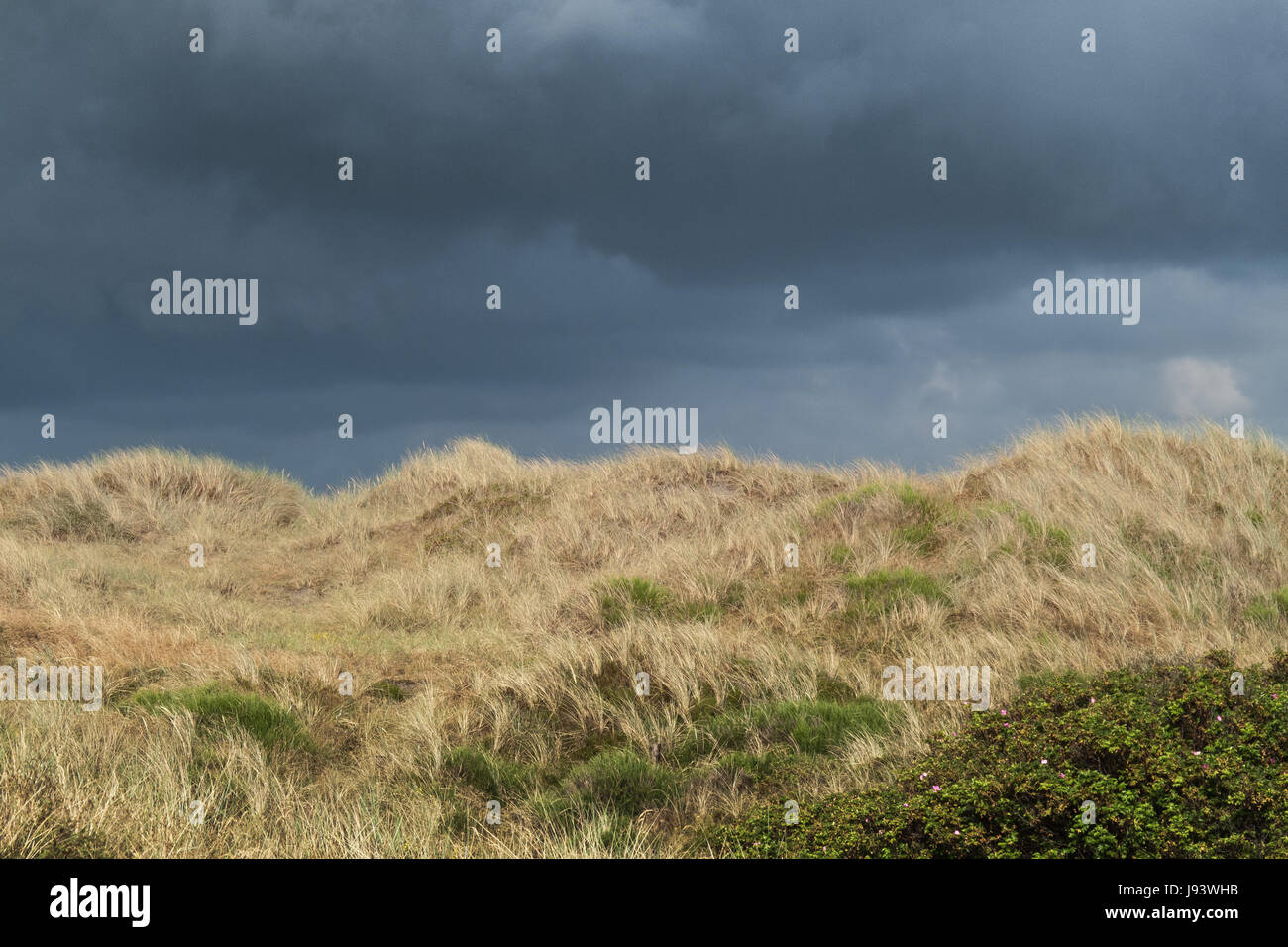 water, north sea, salt water, sea, ocean, denmark, thunderstorm ...