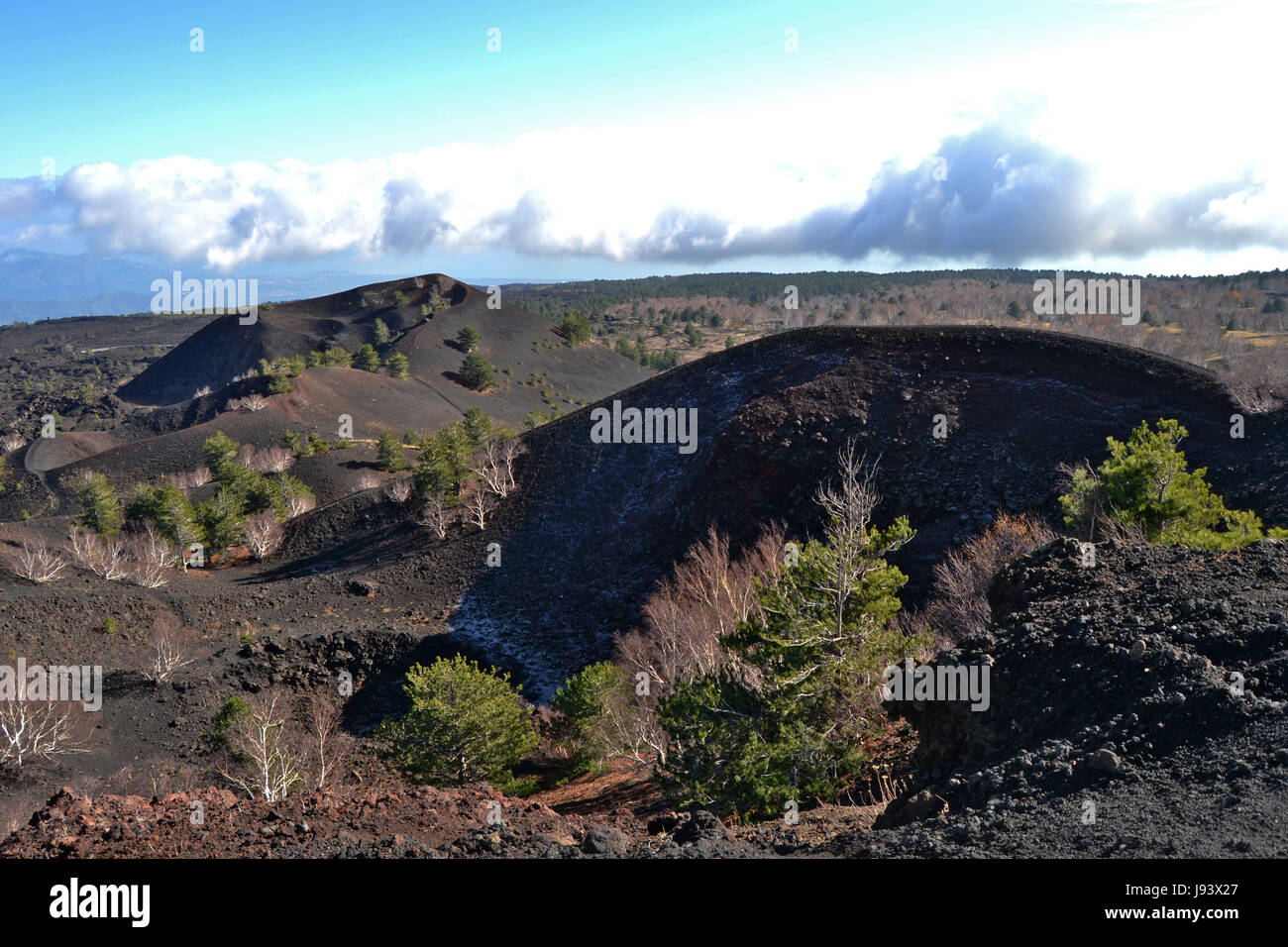 environment, enviroment, birch, vegetation, sicily, mountain, vulcan ...