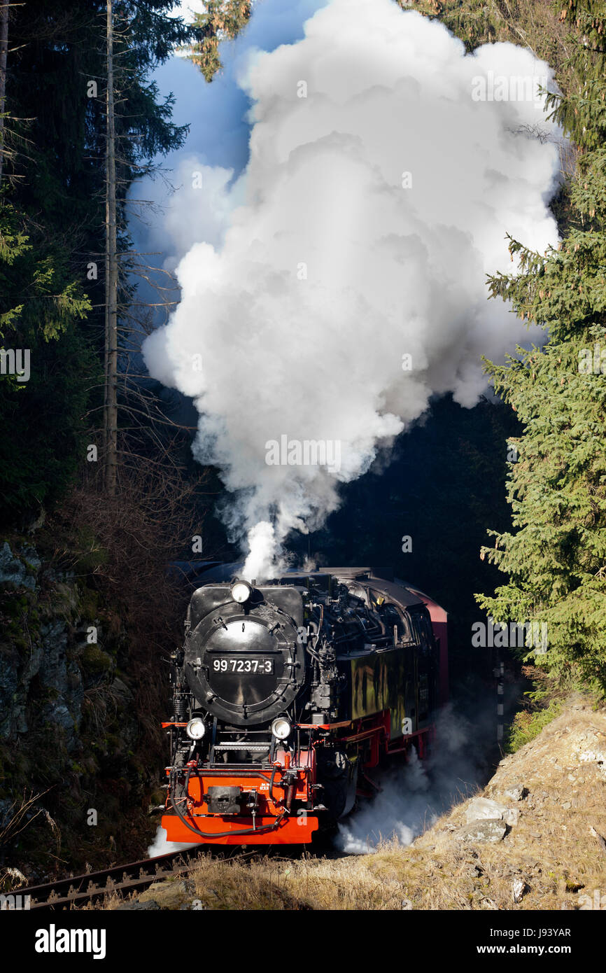harz narrow gauge railway Stock Photo - Alamy