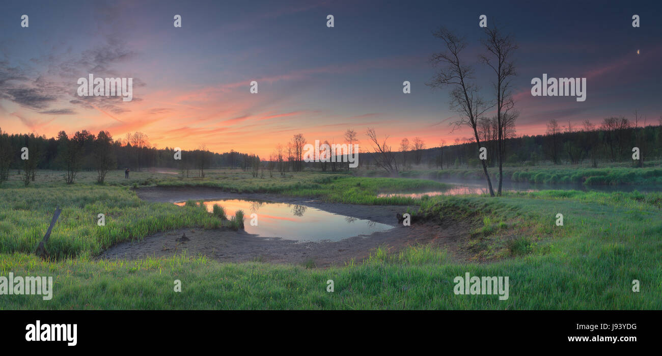 Summer dawn at valley. Soft morning light illuminate summer natural ...