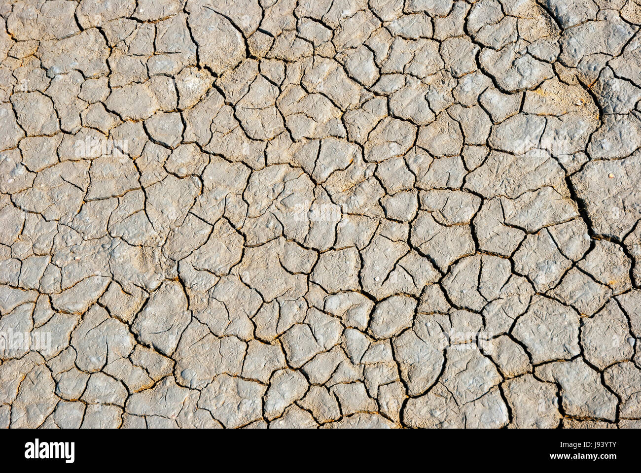Dry cracked land texture Stock Photo - Alamy Dry cracked land texture Stock Photo - Alamy