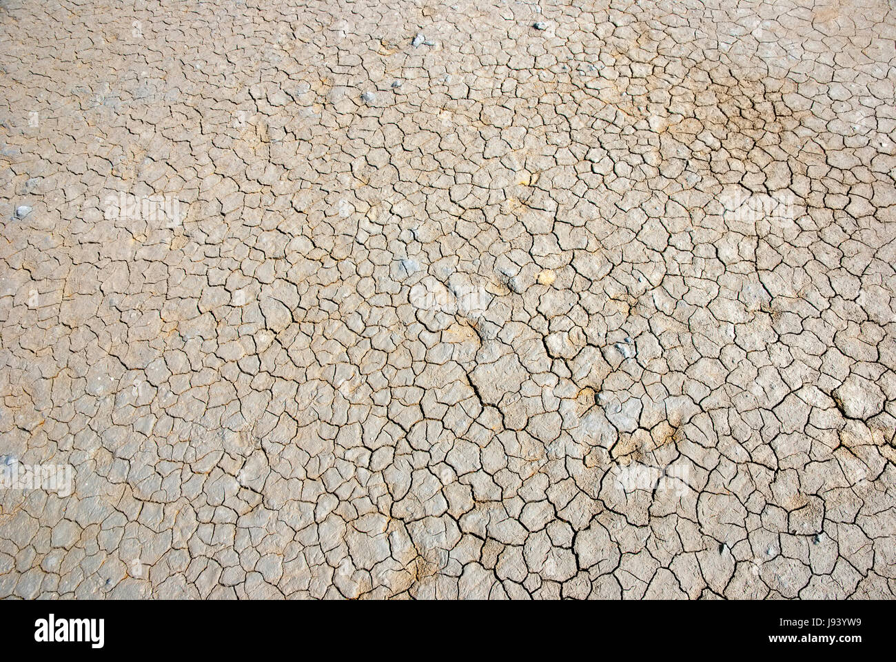 Dry cracked land texture Stock Photo - Alamy Dry cracked land texture Stock Photo - Alamy
