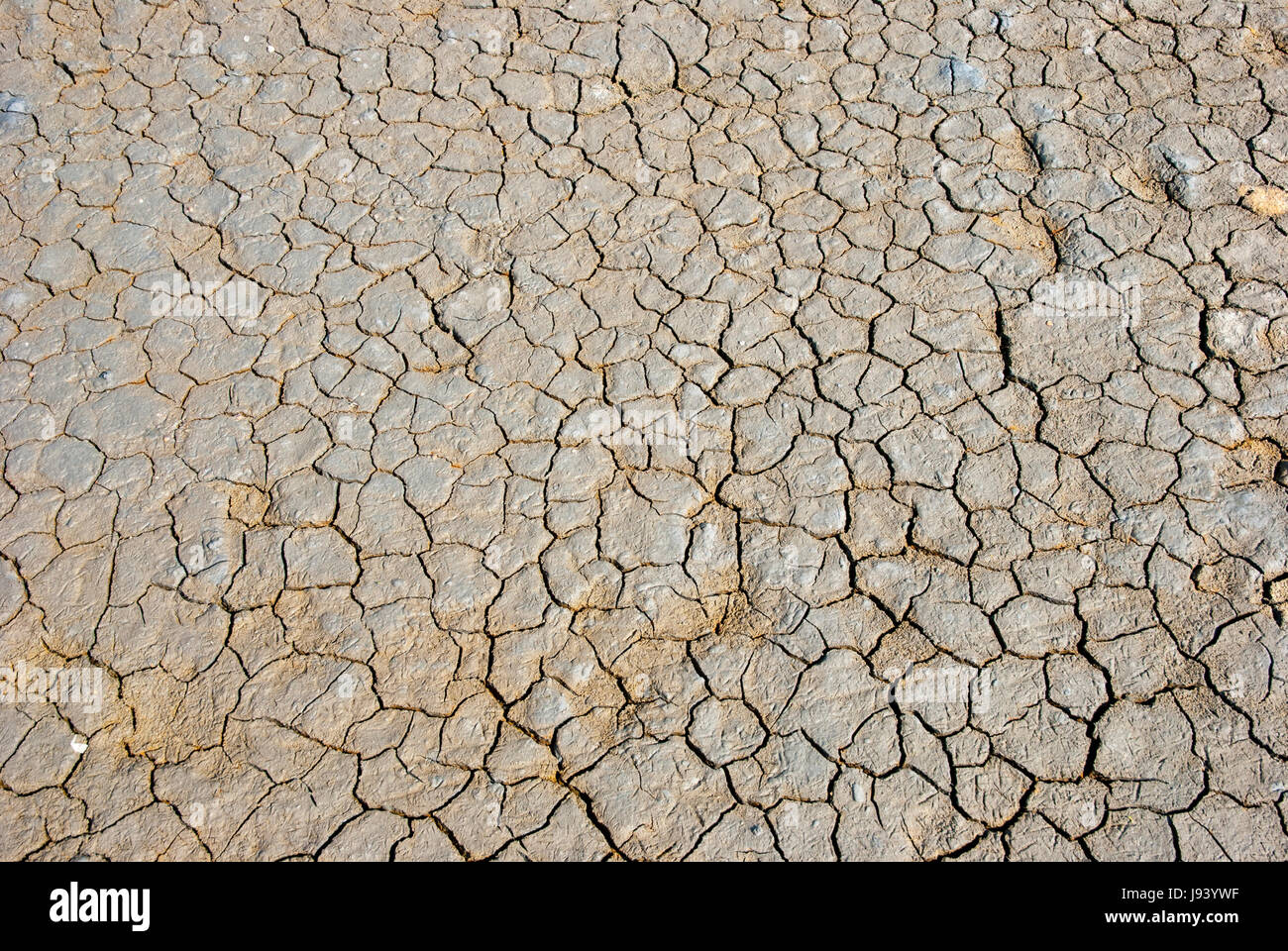 Dry cracked land texture Stock Photo - Alamy