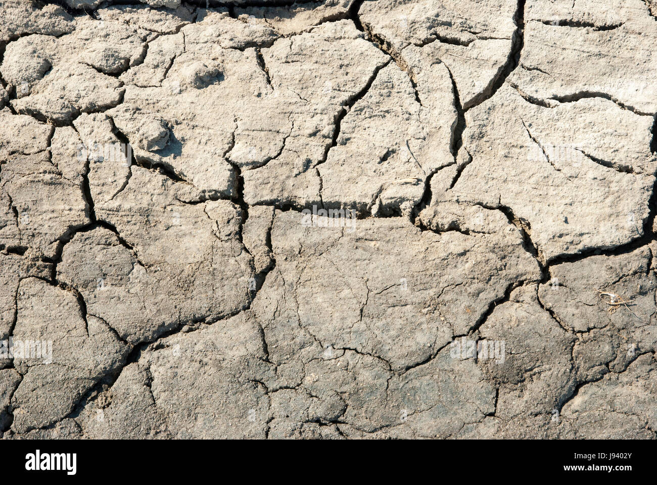 Dry cracked land texture Stock Photo - Alamy Dry cracked land texture Stock Photo - Alamy