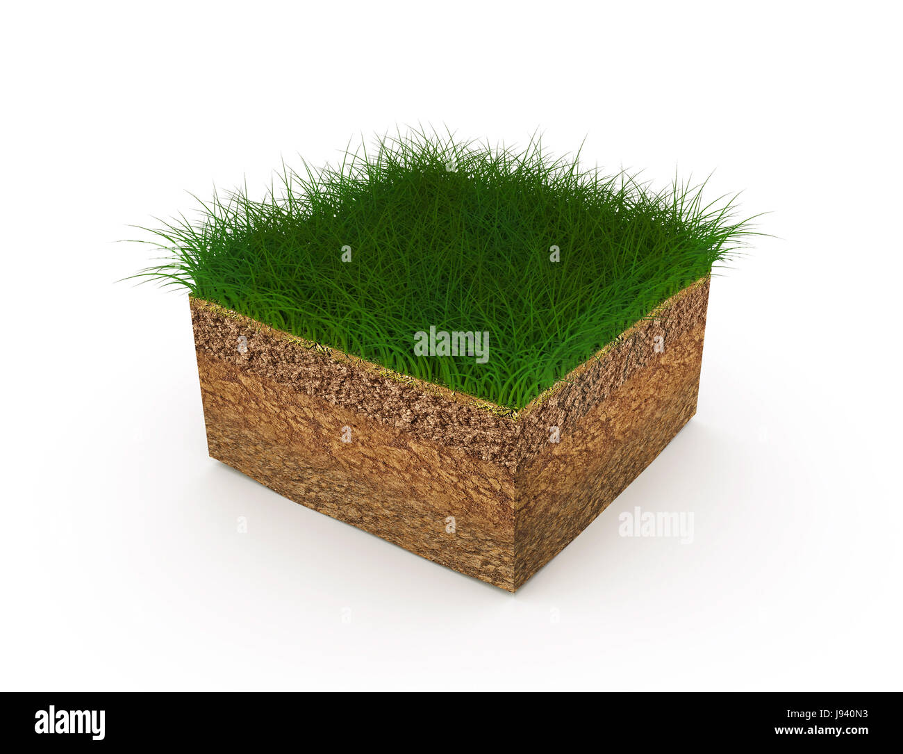 The ground or soil in an isometric sectional view - shows the growth of ...