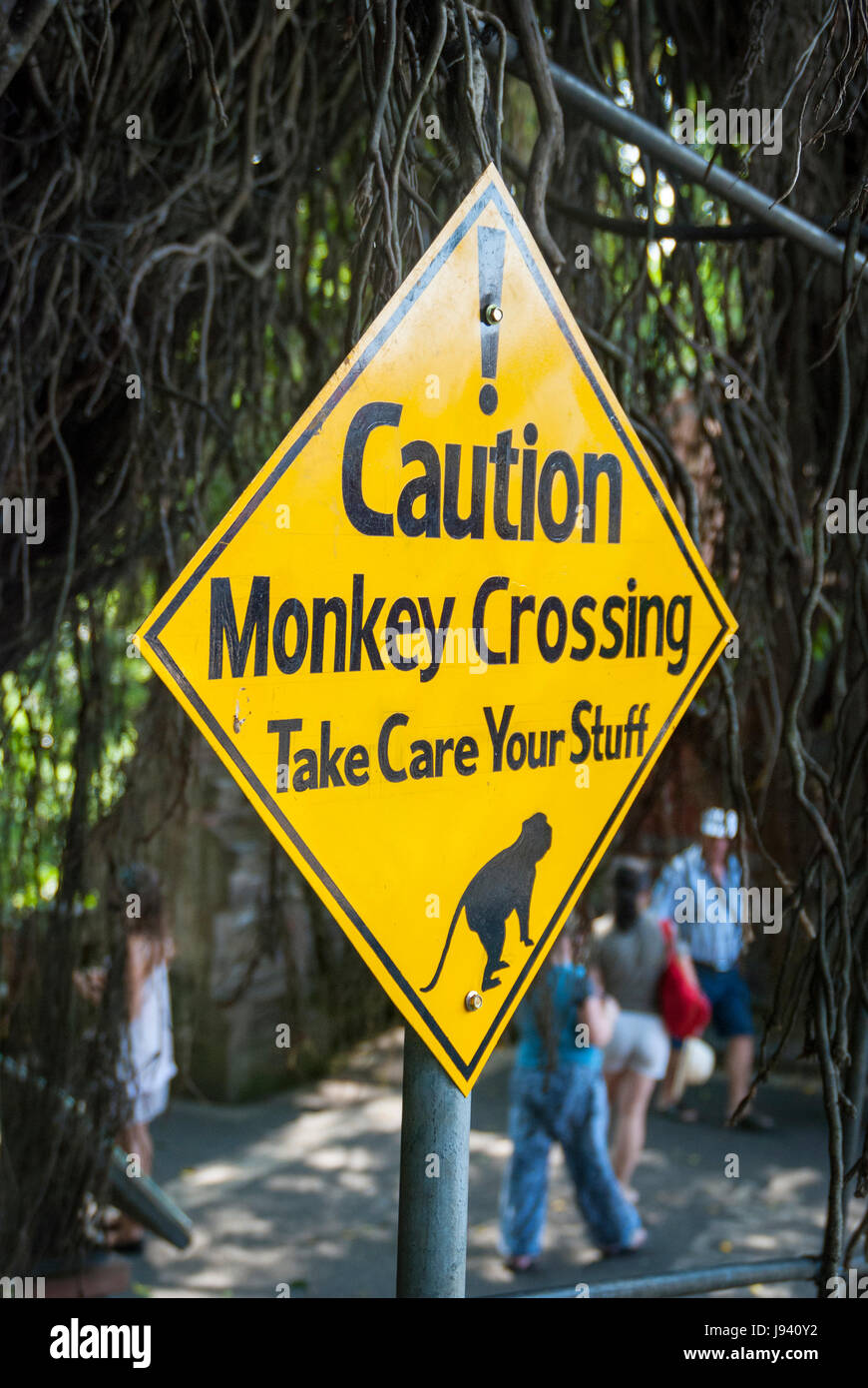 Warning sign against monkeys crossing the road and taking care of your ...