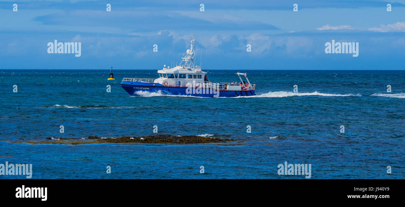 Queen of Ulster Stock Photo - Alamy